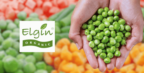 Organic Frozen Berries Distributor - Harvestime NSW
