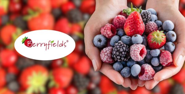 Organic Frozen Berries Distributor - Harvestime NSW