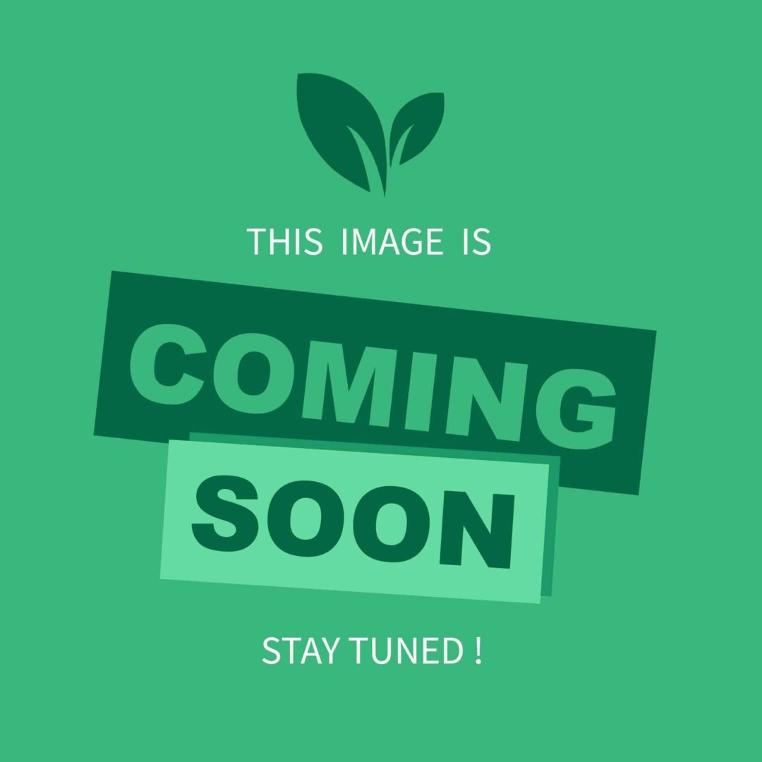 Passionfruit Pulp Seed In (with Seed) 1kg - Harvestime NSW